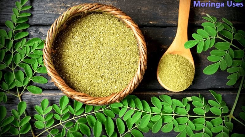 The Amazing Moringa: Uses, Benefits, Preparation, and Its Impact on the ...
